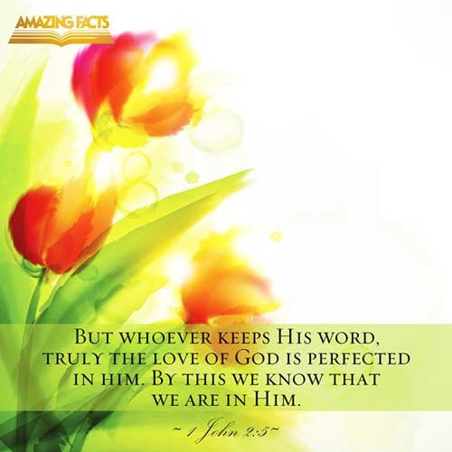Scripture Pictures From The Book Of 1st John Amazing Facts